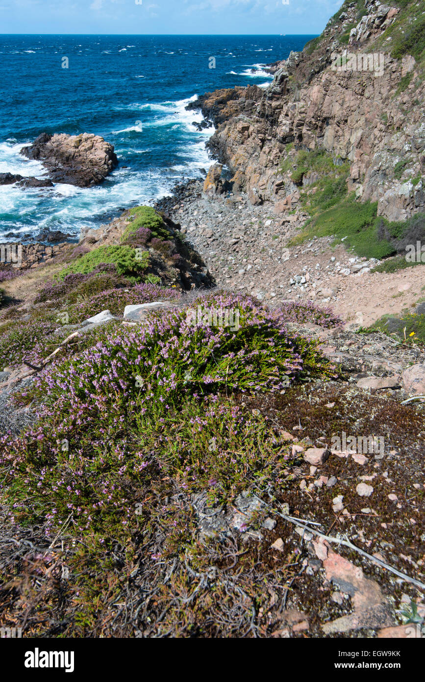 Coast, Kullaberg Nature Reserve, Kullen Peninsula, Höganäs, Mölle ...