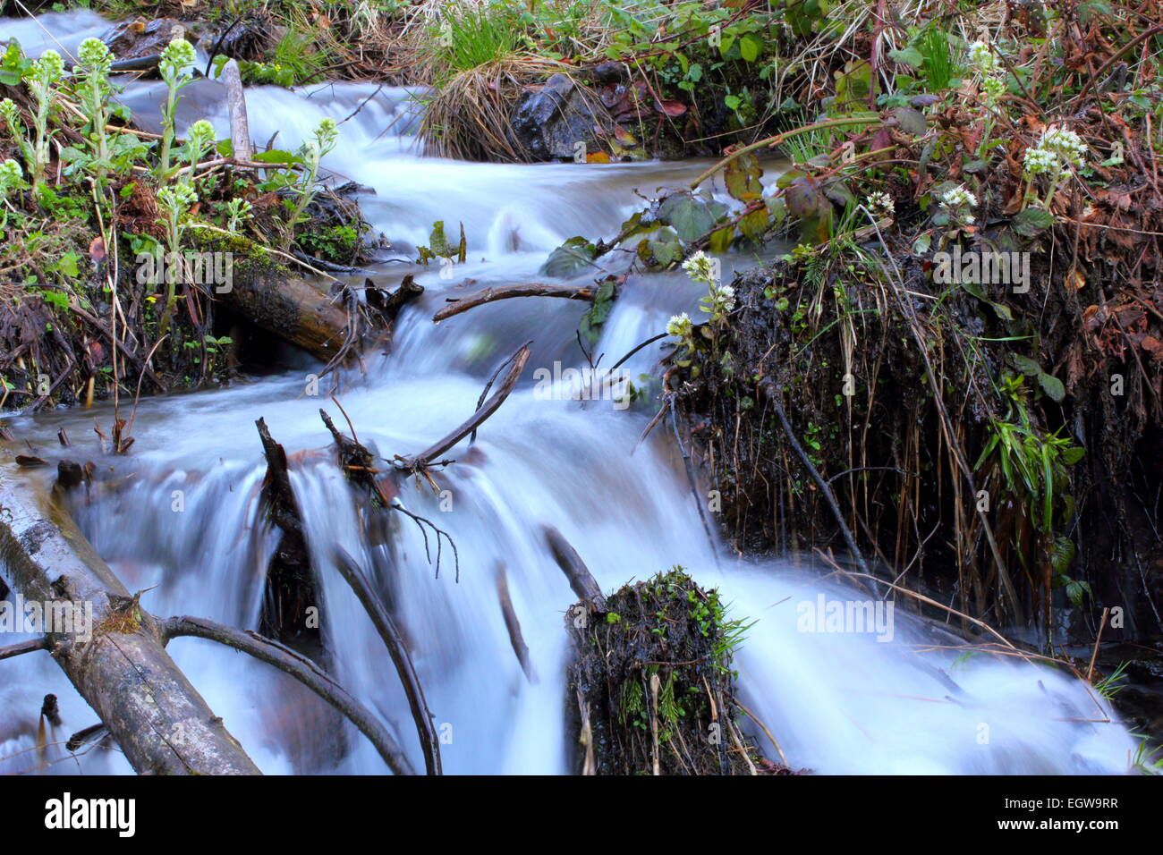 Beautiful scenery river flowing near hi-res stock photography and ...