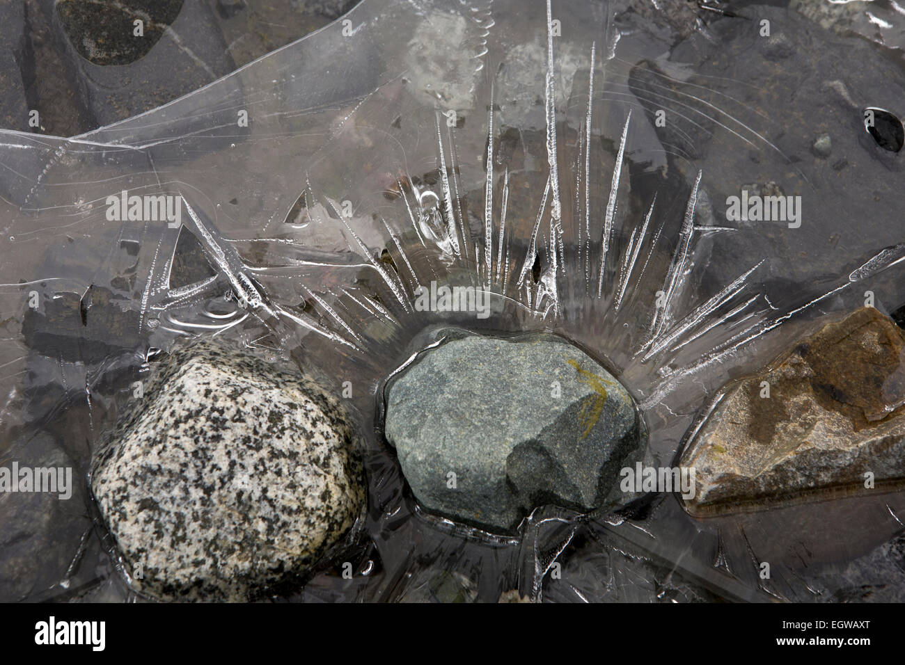Antarctica, Half Moon Island beach, granite rocks frozen in ice Stock ...