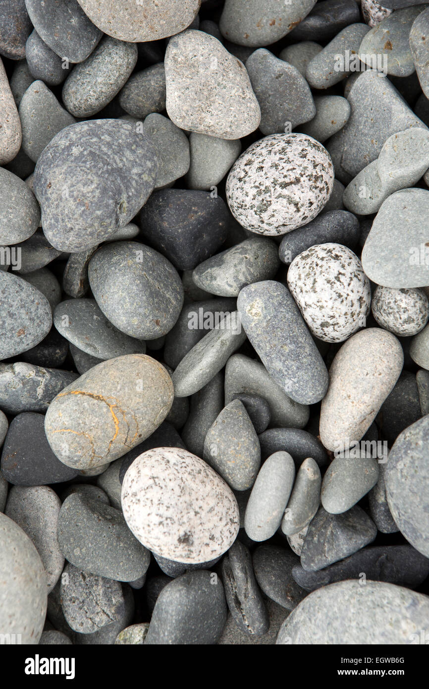 Antarctica, Half Moon Island beach, pebbles of various rocks Stock ...