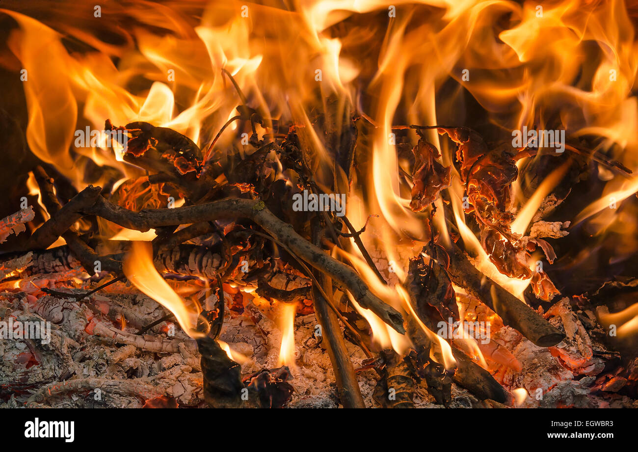 Closeup of firewood Burning fire in fireplace, horizontal shot Stock ...