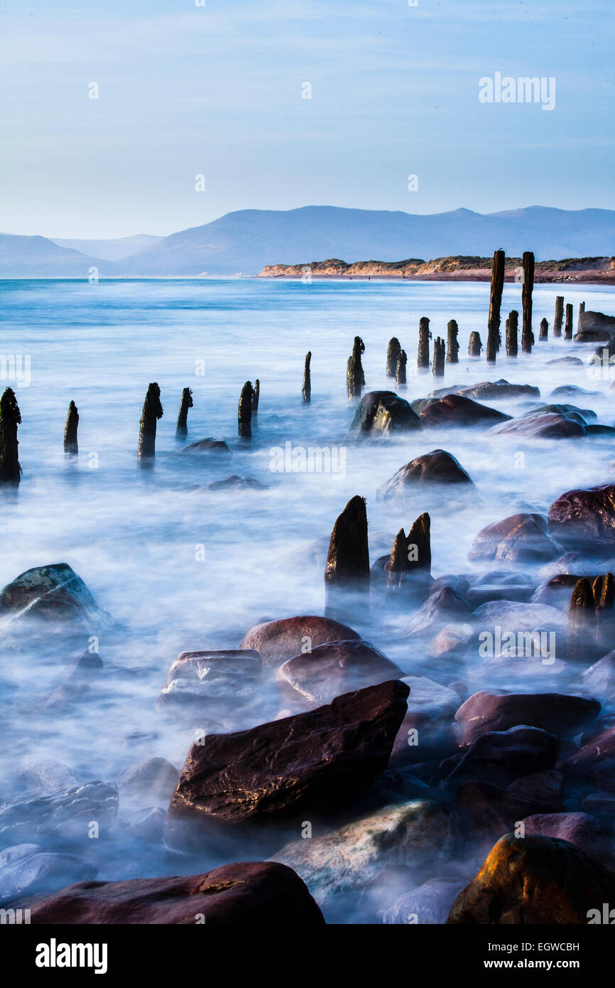 Groynes on Rossbehy Beach, Glenbeigh, County Kerry, Ireland Stock Photo ...