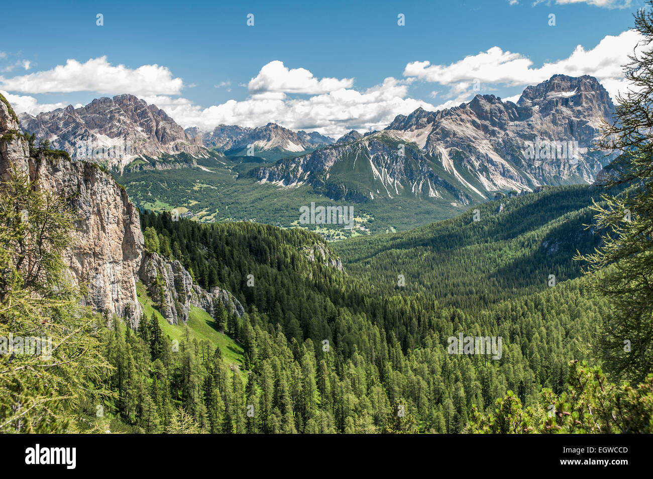 High mountain forests hi-res stock photography and images - Alamy