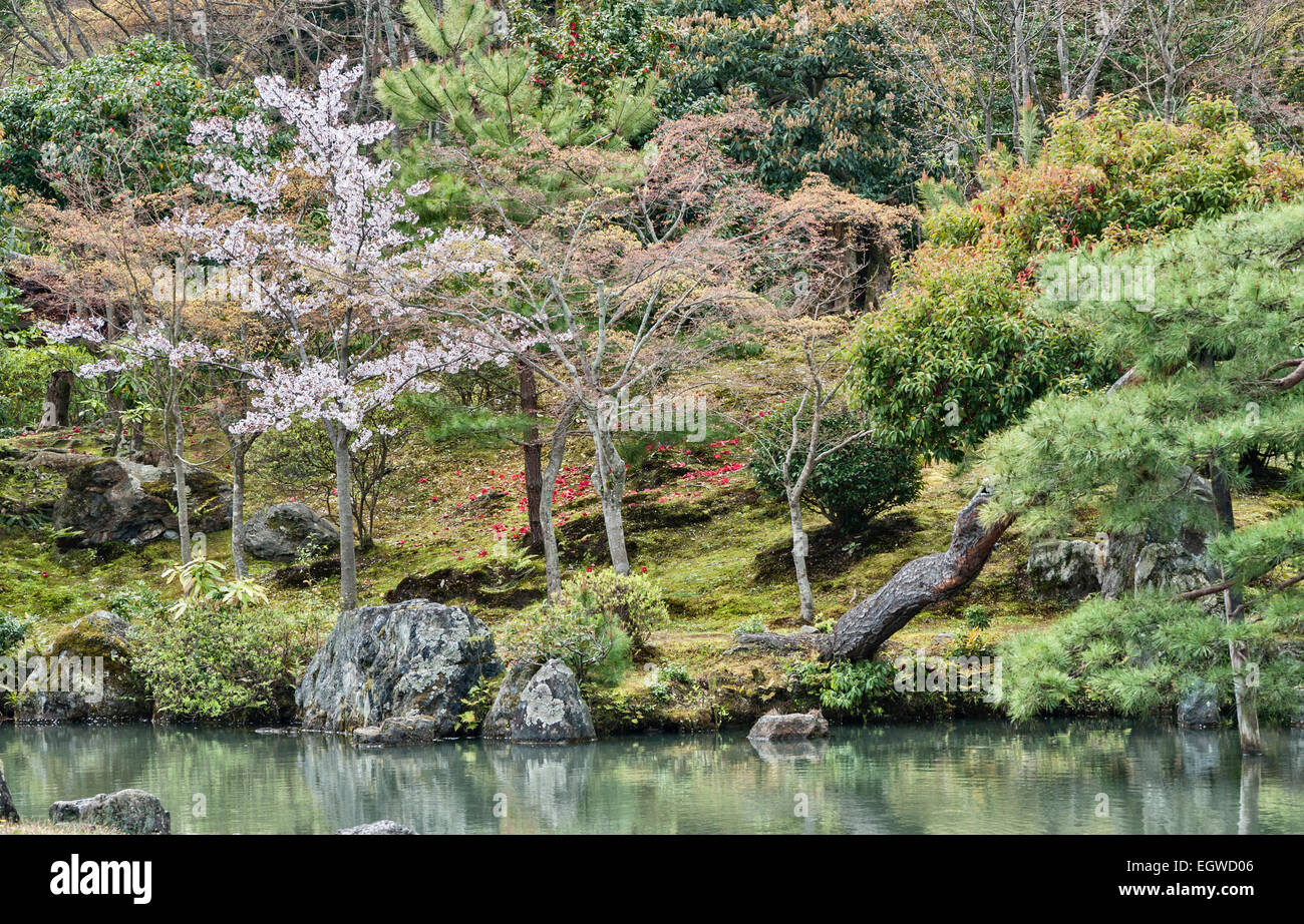 Tenryu ji gardens hi-res stock photography and images - Alamy