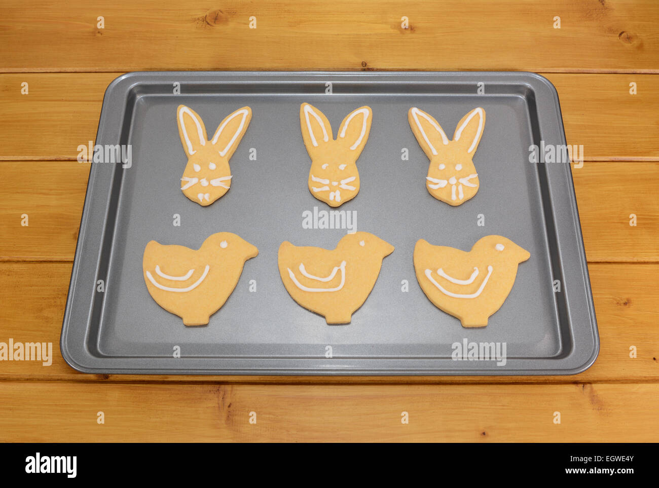 Iced Easter biscuits in bunny and chick shapes on a baking tray on a ...