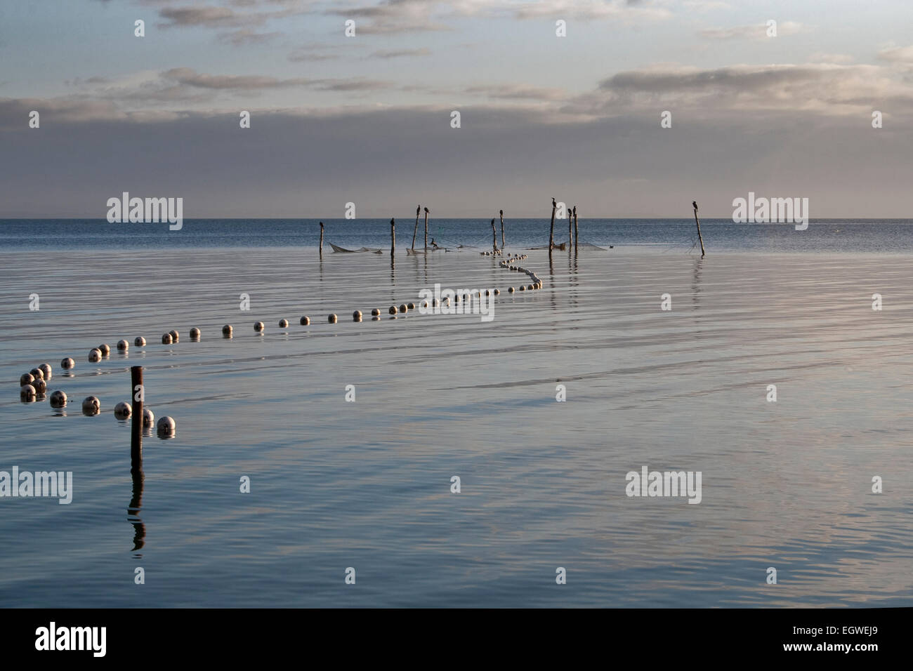 Fishing stakes hi-res stock photography and images - Alamy