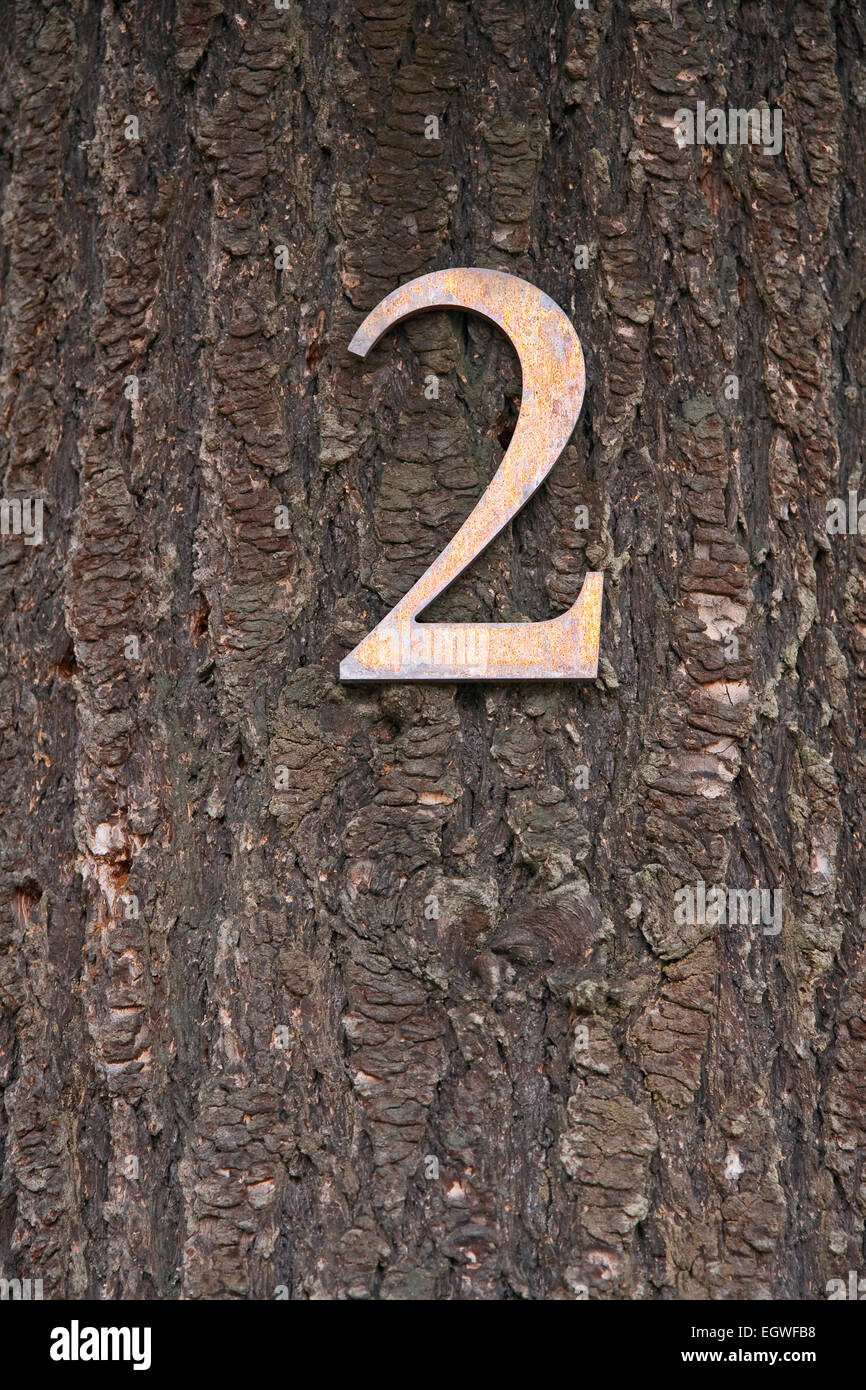 Number tree hi-res stock photography and images - Alamy
