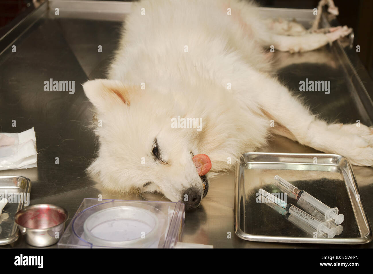 Anesthetic procedure hi-res stock photography and images - Alamy