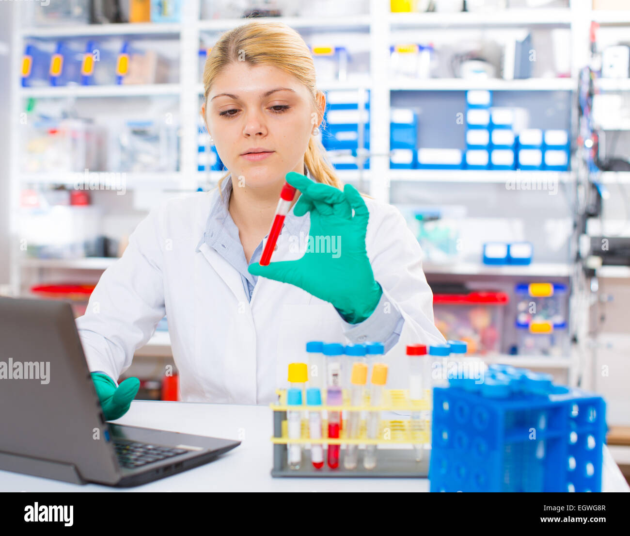A woman laboratory assistant uses a computer research blood sample ...