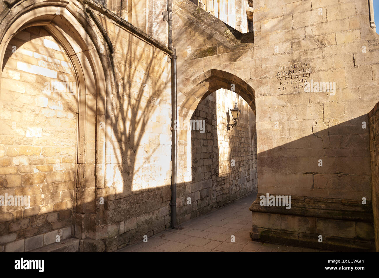 shadows with tree and medieval archway the strong supporting flying ...
