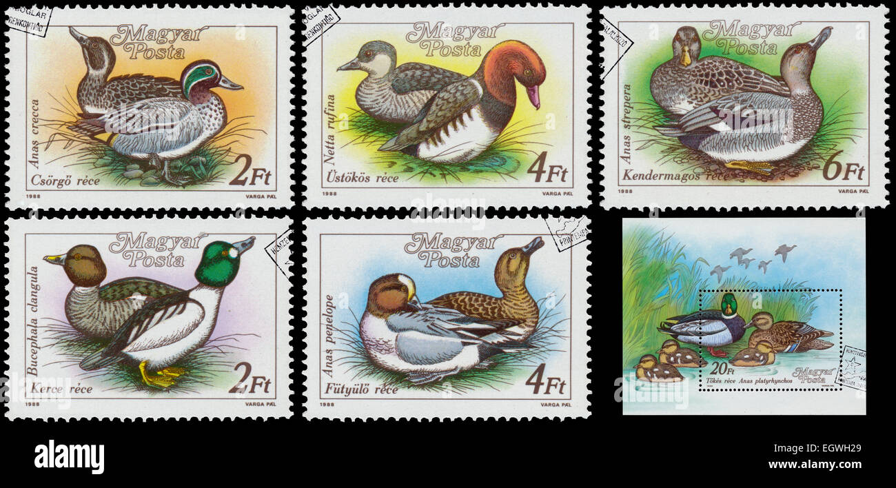 Duck stamps hi-res stock photography and images - Alamy