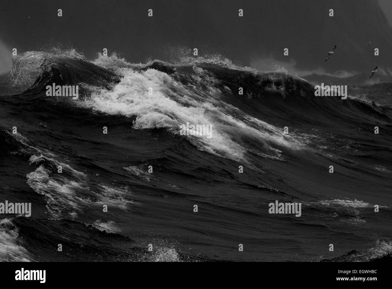 St kilda scotland hi-res stock photography and images - Alamy