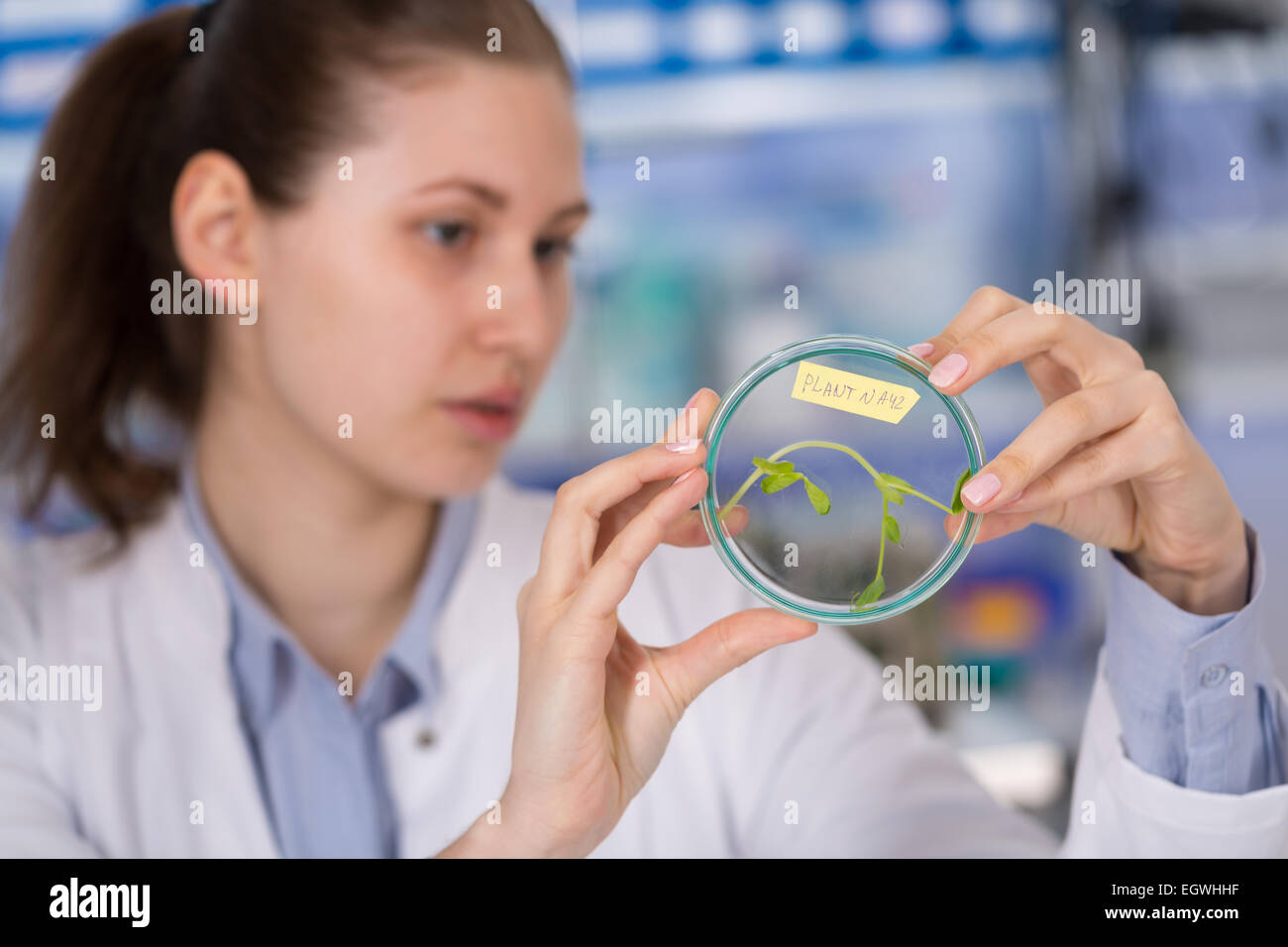 Scientists laboratory genetics hi-res stock photography and images - Alamy
