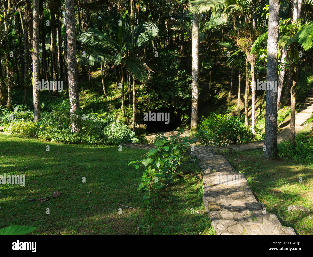 Mount isabel de torres national park gardens hi-res stock photography ...