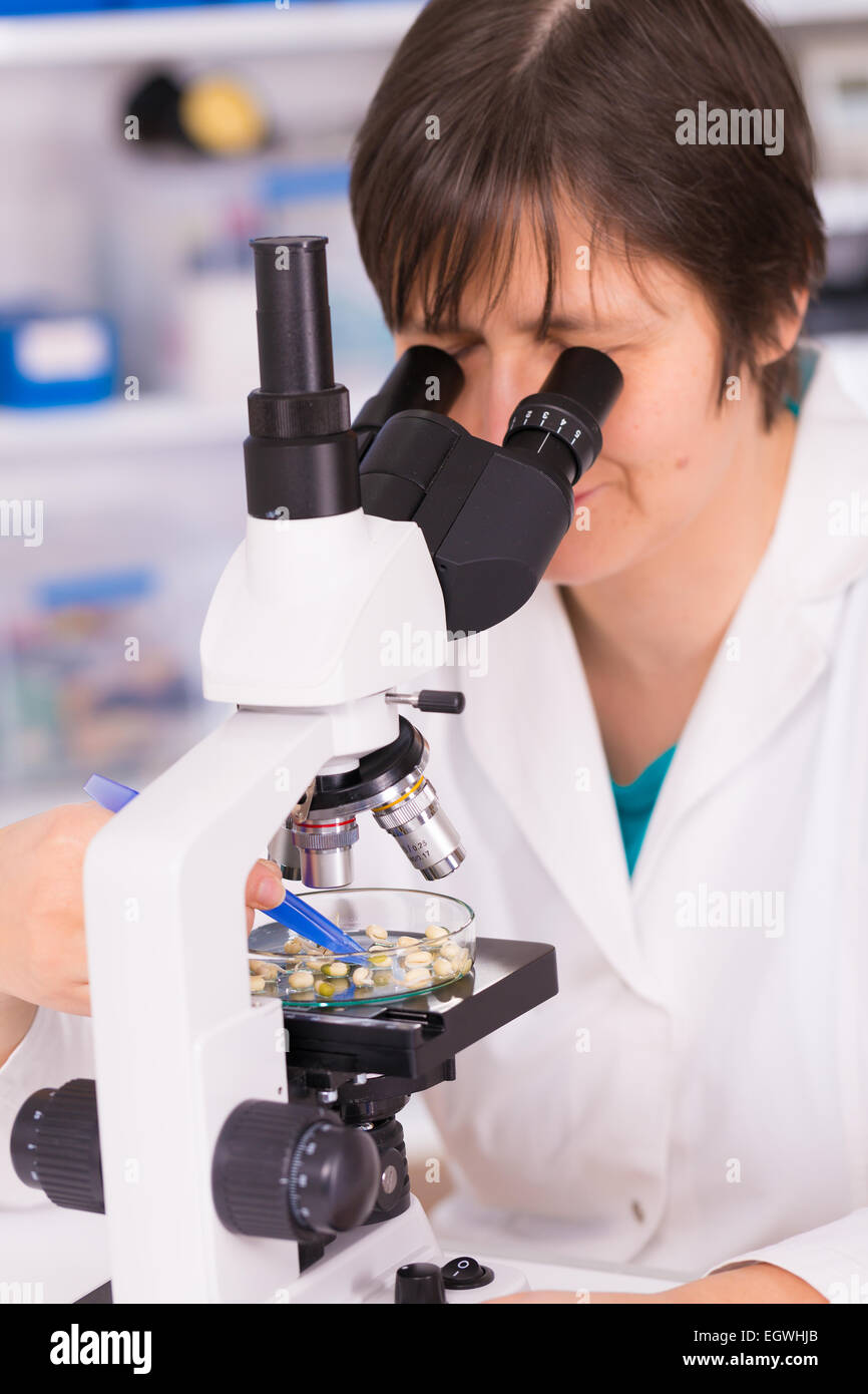 Genetically modified crops lab hi-res stock photography and images - Alamy