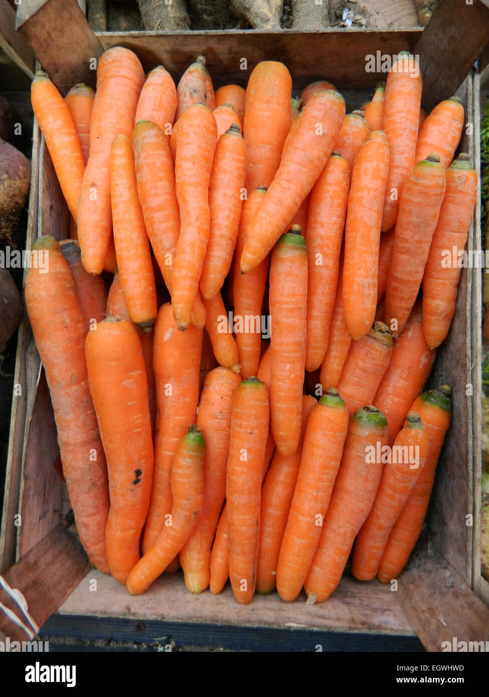 Fresh carrots on a market stall waiting for customers Stock Photo - Alamy