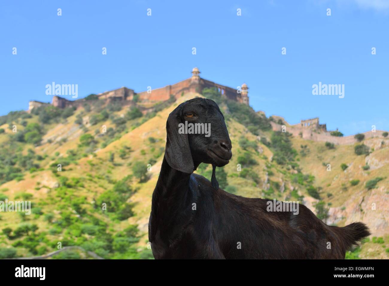 Goat fort hi-res stock photography and images - Alamy