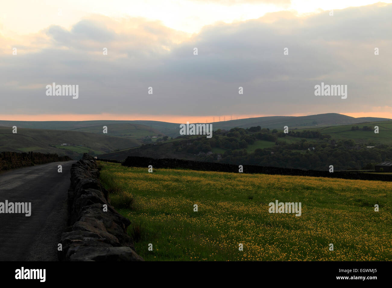 Field alongside a road in the Upper Calder Valley, with a wind farm in ...