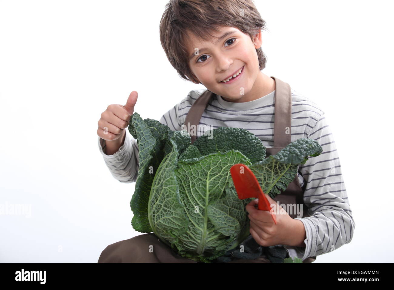 child gardening and holding a cabbage head Stock Photo - Alamy