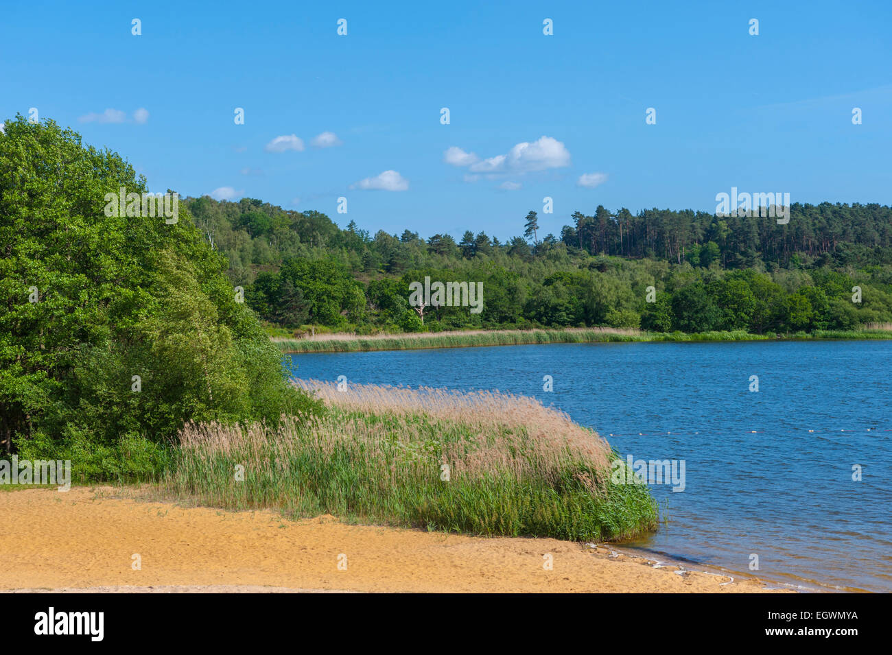 Farnham lakes hi-res stock photography and images - Alamy