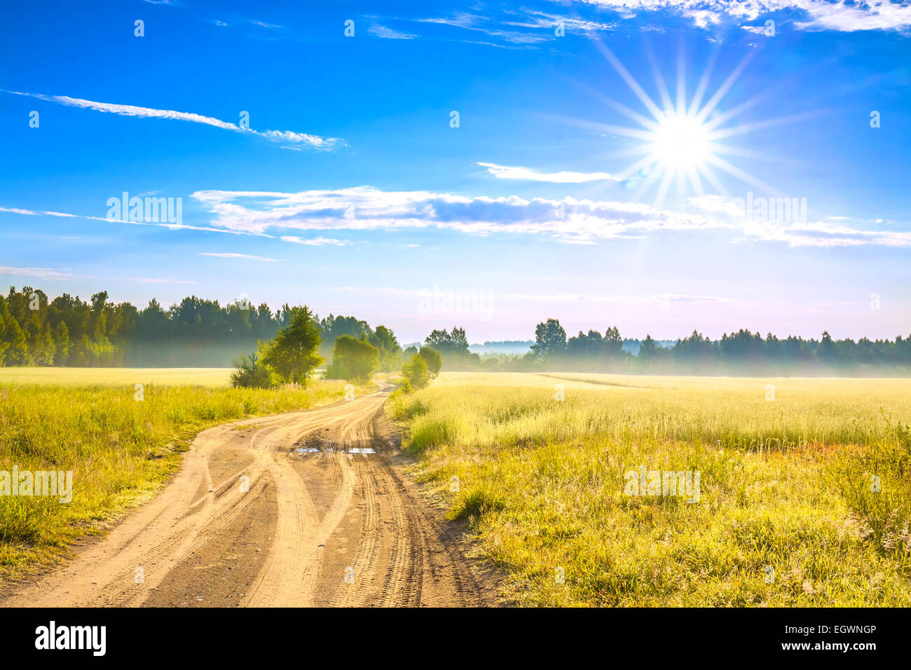 the summer rural landscape with a field, sunrise and road Stock Photo ...