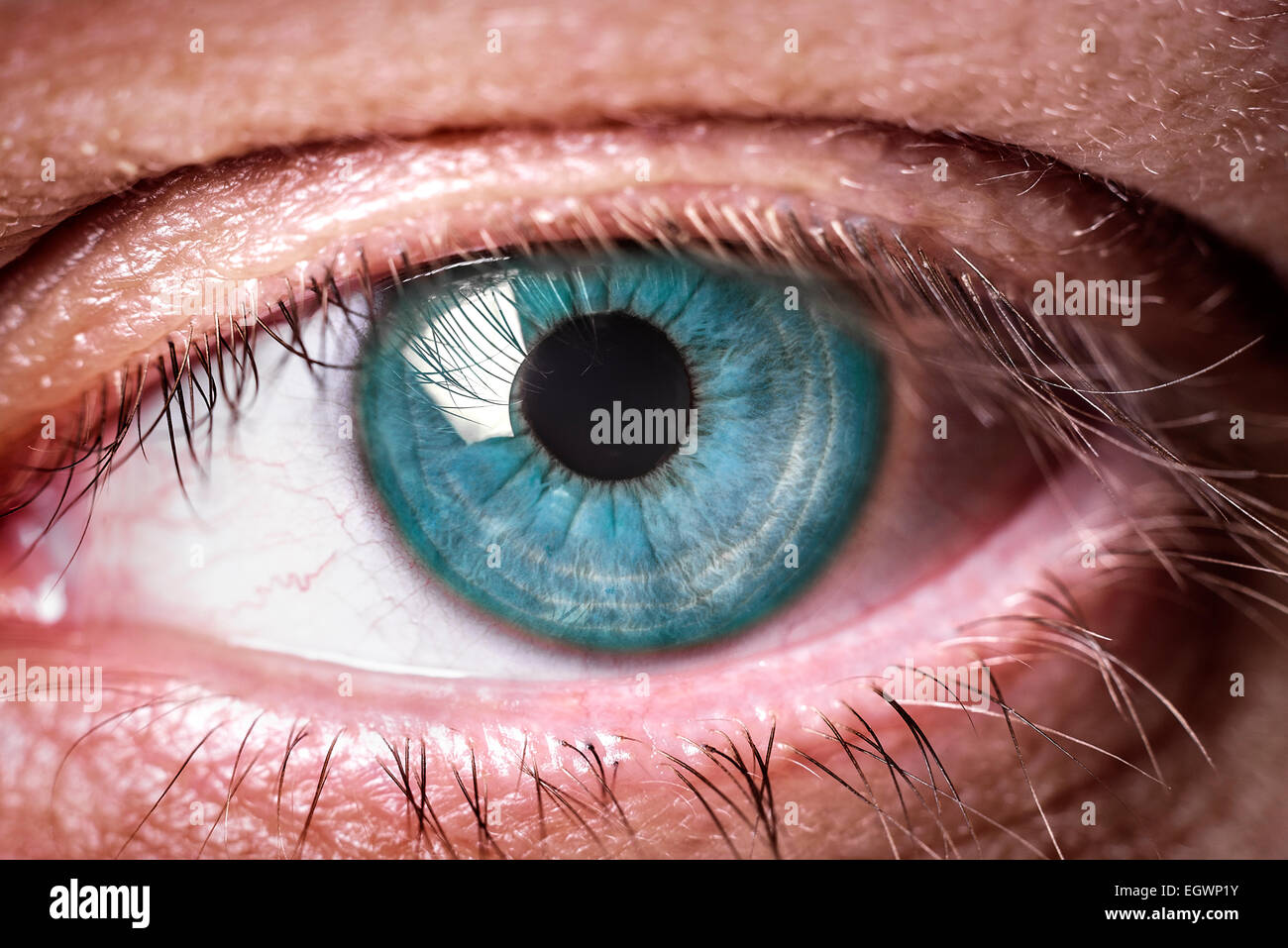 Human eyes macro hi-res stock photography and images - Alamy