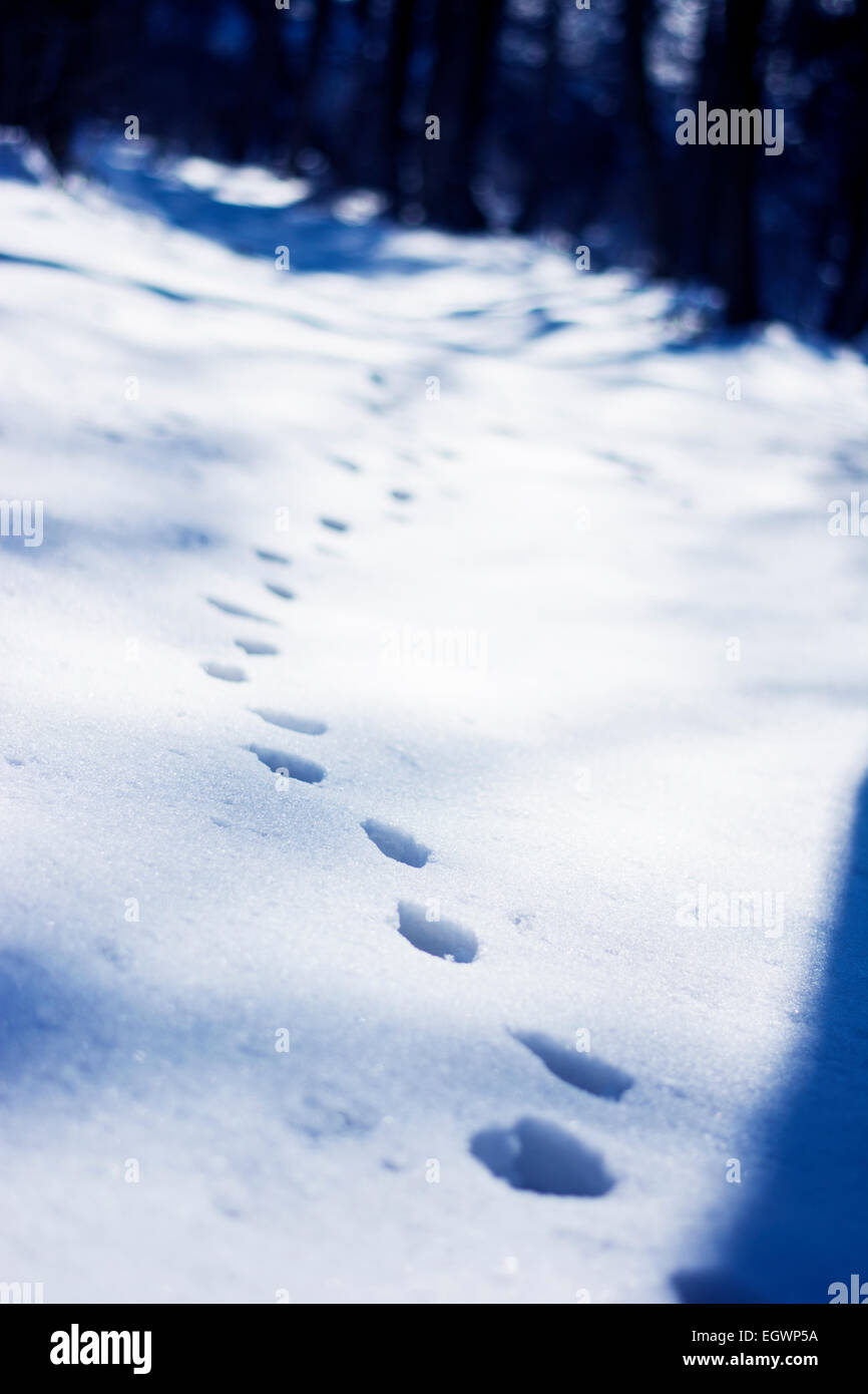 Shadows in footprints hi-res stock photography and images - Alamy
