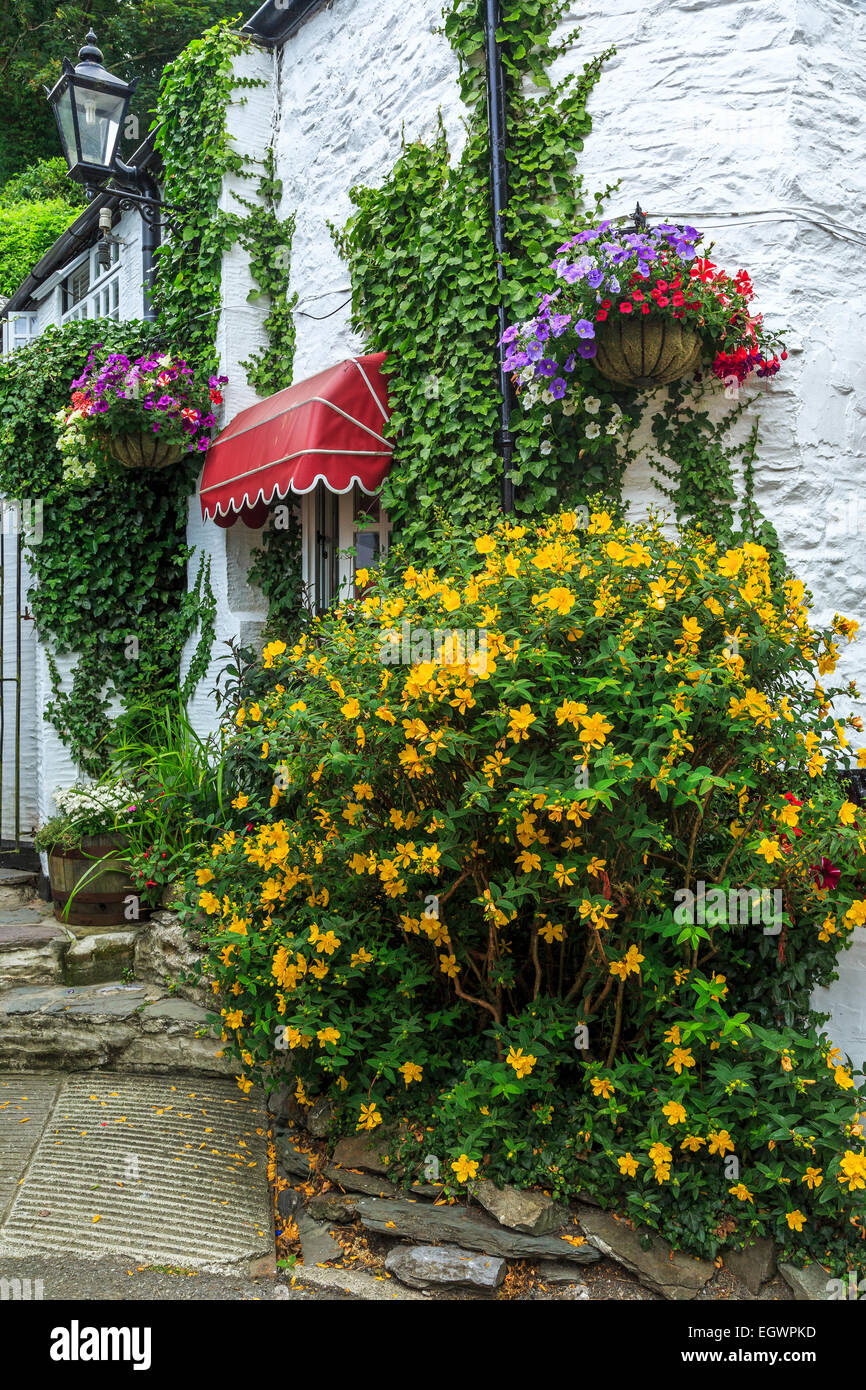Polperro Harbour in beautiful Cornwall, UK Stock Photo - Alamy