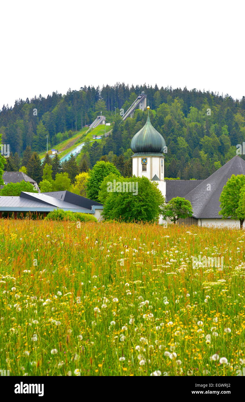 Black Forest, Baden-Wurttemberg, Black Forest, Hinterzarten, meadow ...