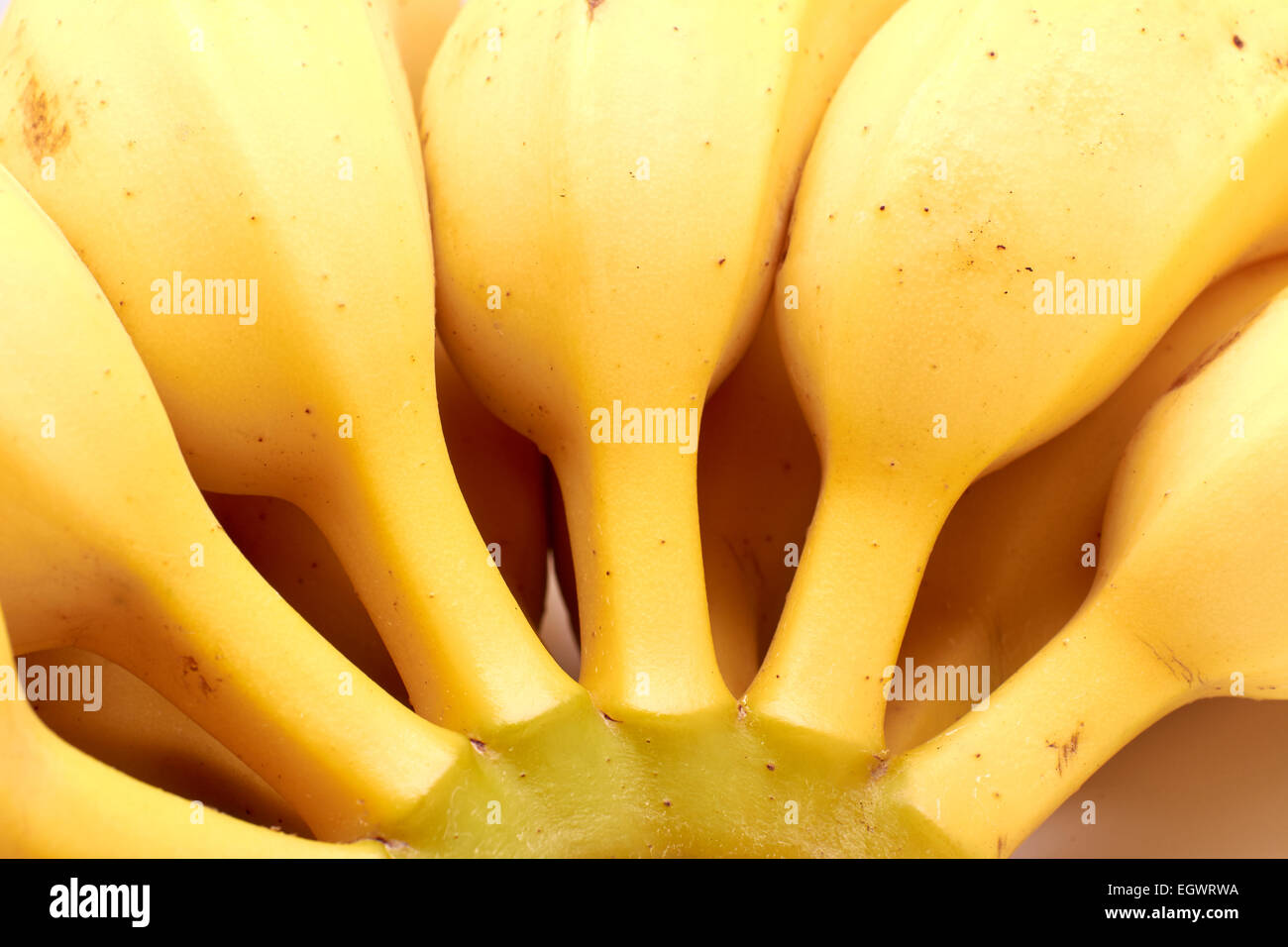 Banana bunch in isolated blank background Stock Photo - Alamy