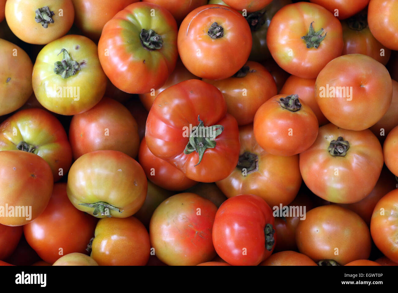 Rotten Tomatoes Stock Photos & Rotten Tomatoes Stock Images - Alamy