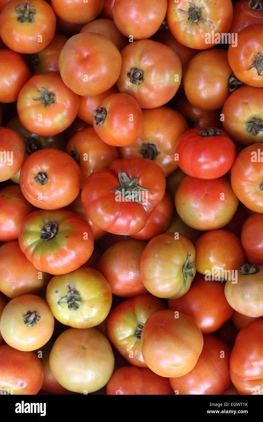 Spoiled tomatoes hi-res stock photography and images - Alamy