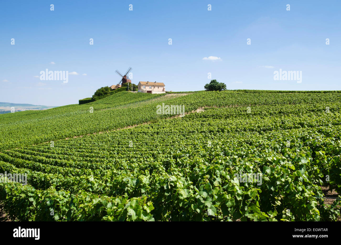 Moulin de Verzenay - a large famous windmill in Champagne region ...