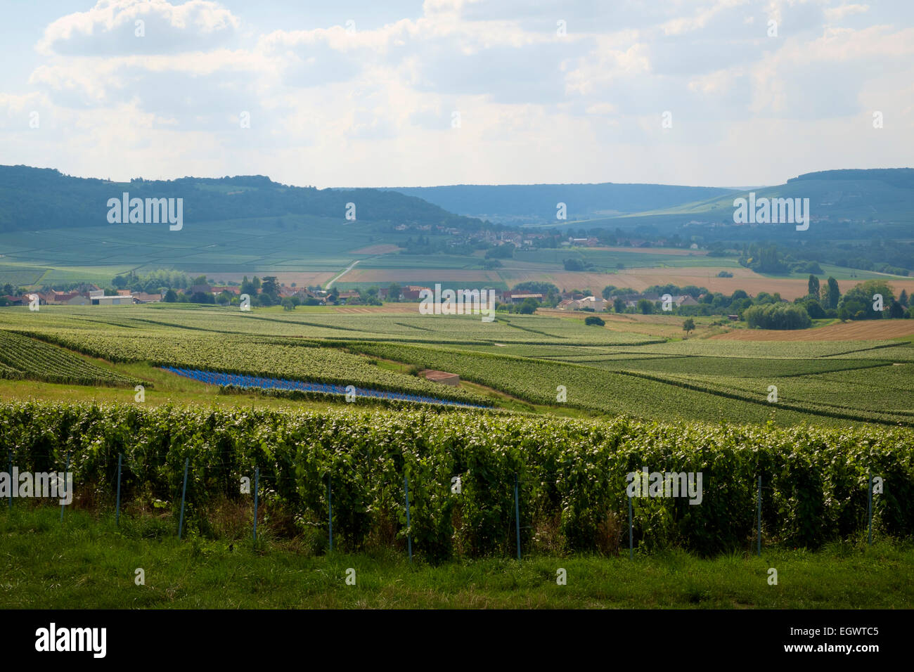 Landscape view of vineyards and villages in Champagne, France, Europe ...