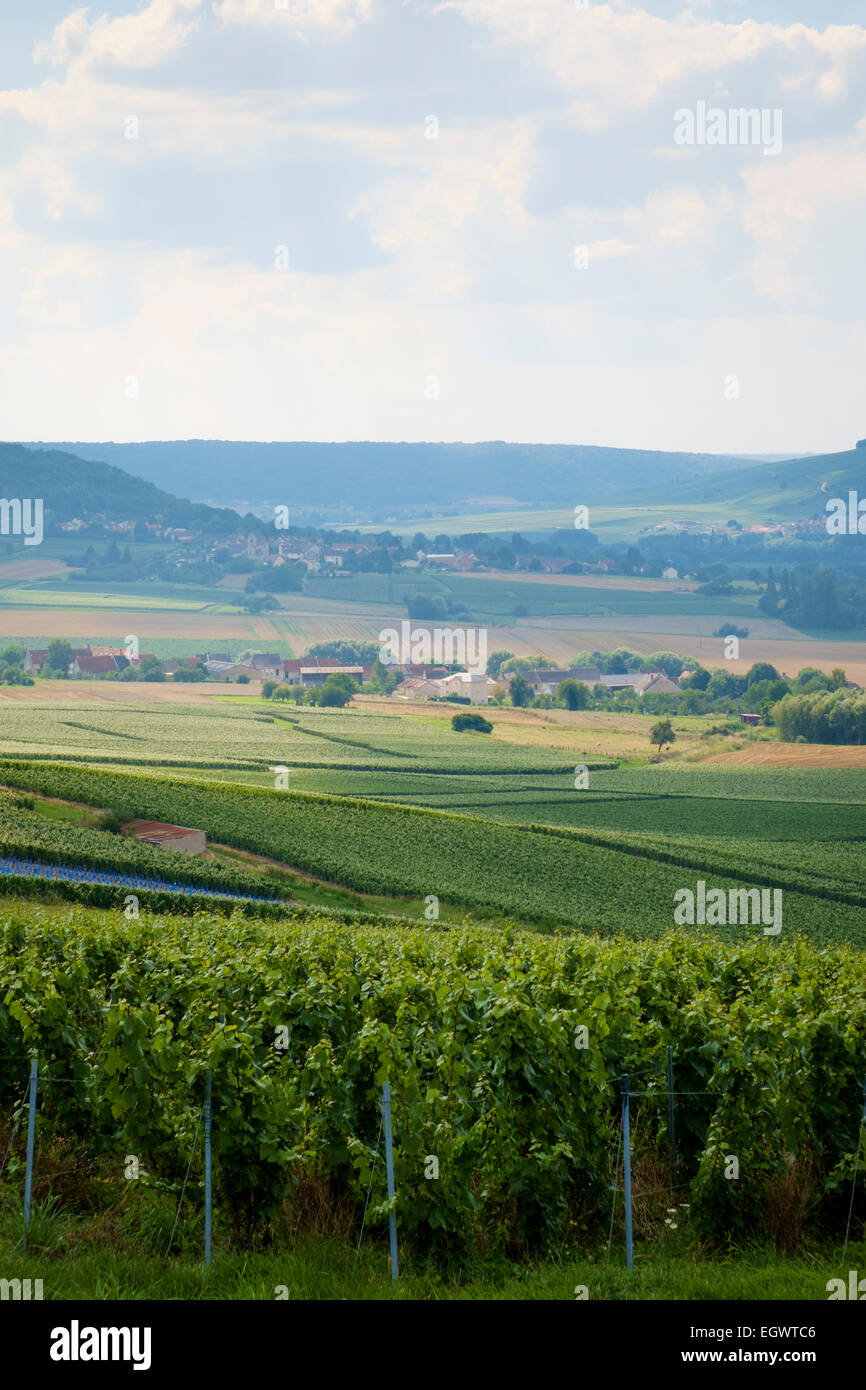 Champagne, France - Vineyards and villages in Champagne region Stock ...