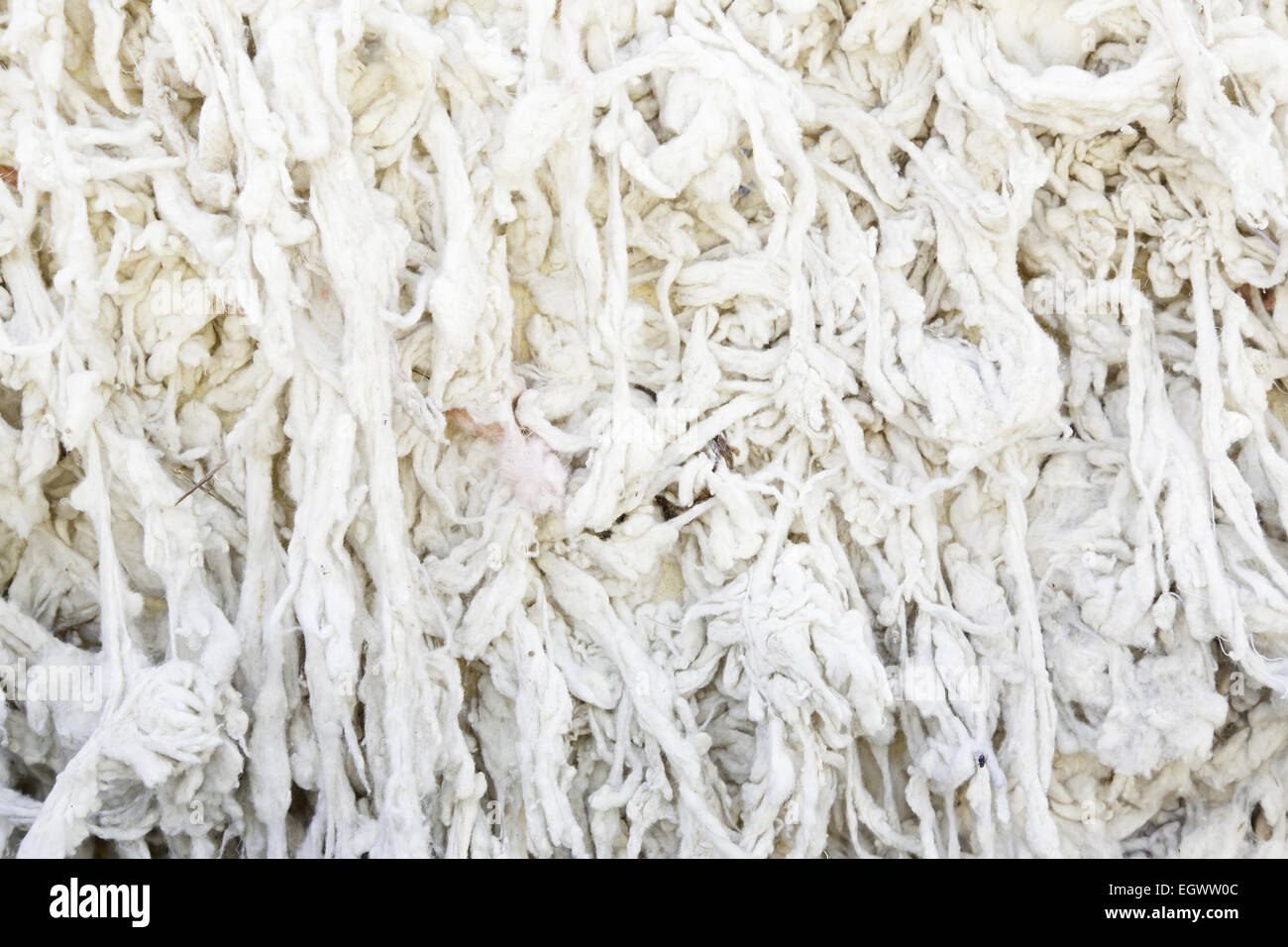 Wool, sheep wool detail untreated fabric and traditional art Stock ...