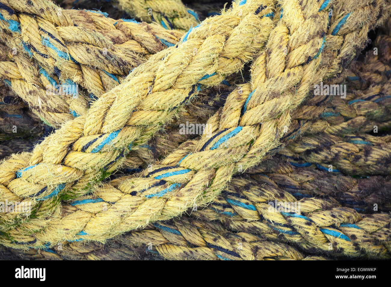 Yellow nautical rope, closeup background texture Stock Photo - Alamy