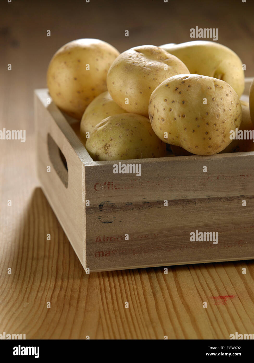 Container create hi-res stock photography and images - Alamy