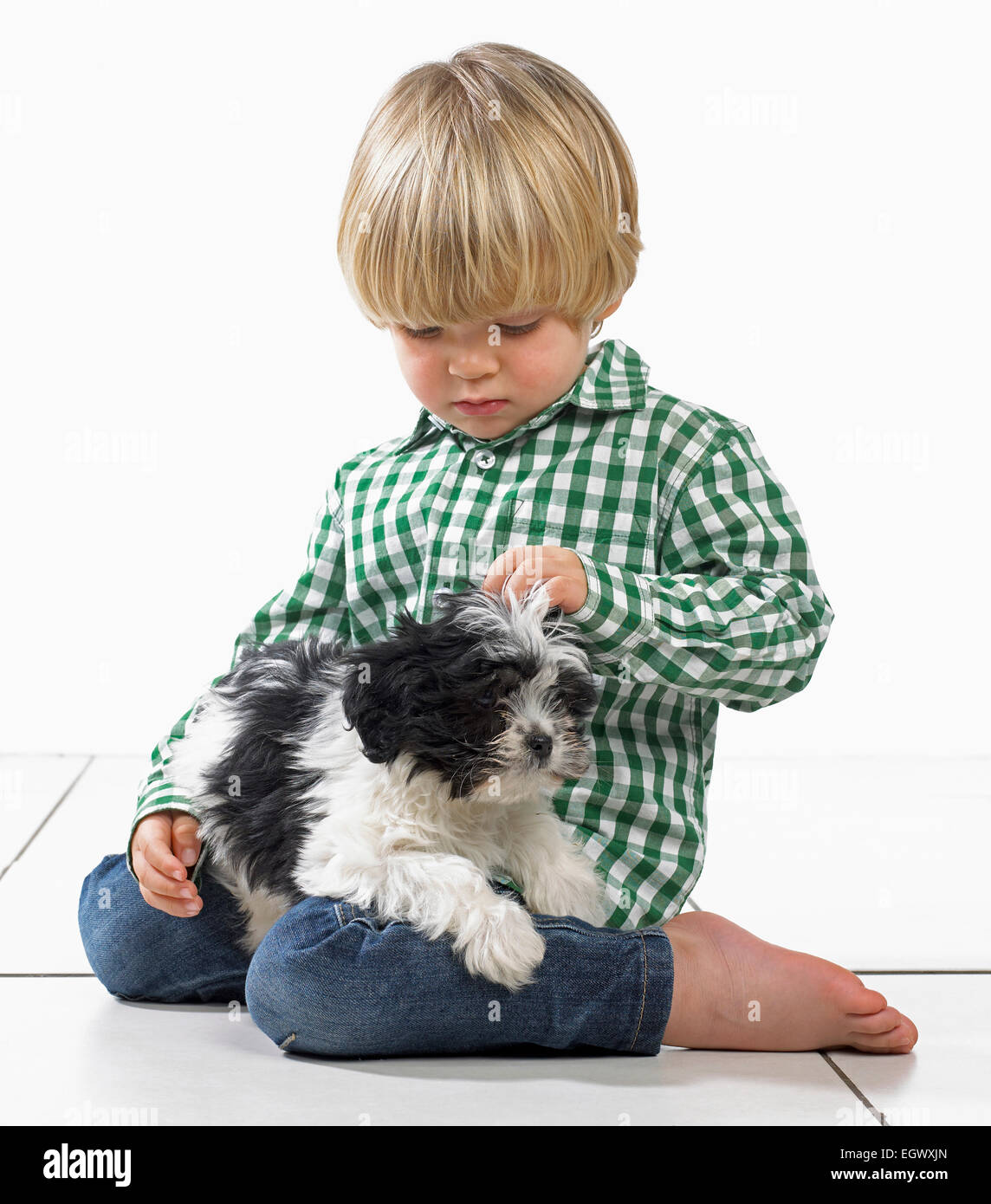 Boy sitting on floor with a puppy on his lap, 2 years Stock Photo - Alamy