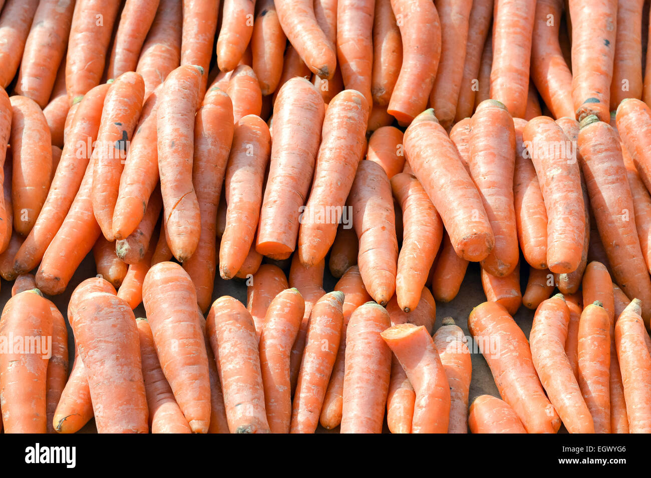 Fresh organic carrots on the market in vibrant colors Stock Photo - Alamy