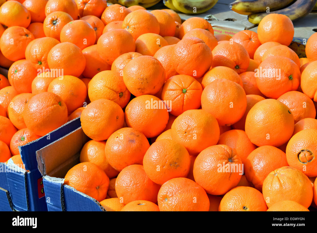 Fresh organic oranges on the market in vibrant colors Stock Photo - Alamy