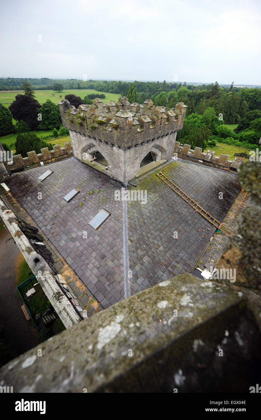 The main roof of Charleville Castle, Tullamore, Co Offaly, Ireland ...