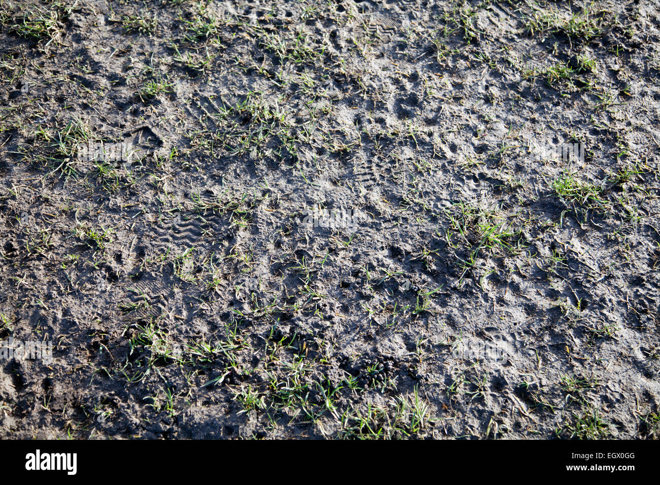 Trodden Muddy Field - London Stock Photo - Alamy