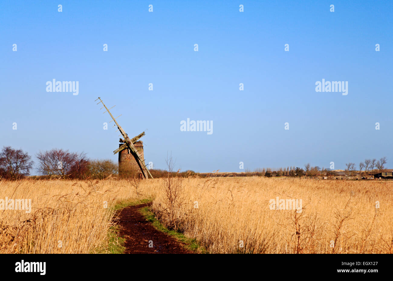 A landscape on the Norfolk Broads over reed beds towards Brograve ...