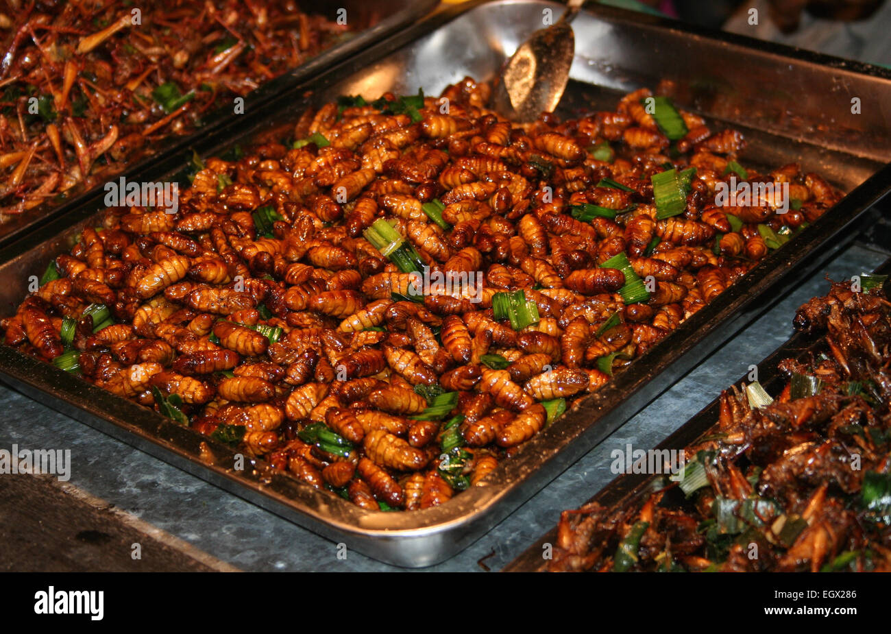 National Asian cuisine insects after grilling in oil Stock Photo - Alamy
