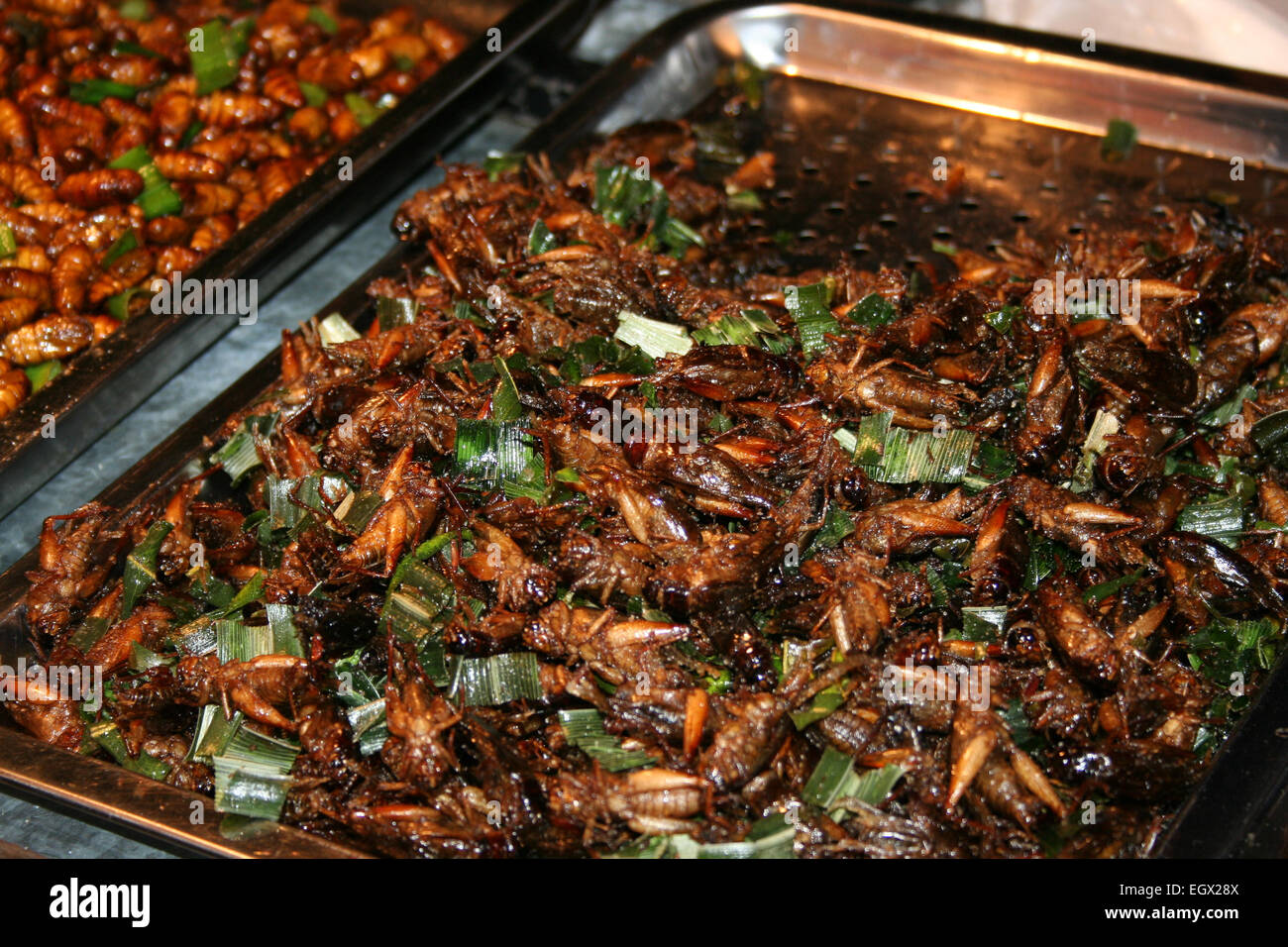 National Asian cuisine insects after grilling in oil Stock Photo - Alamy