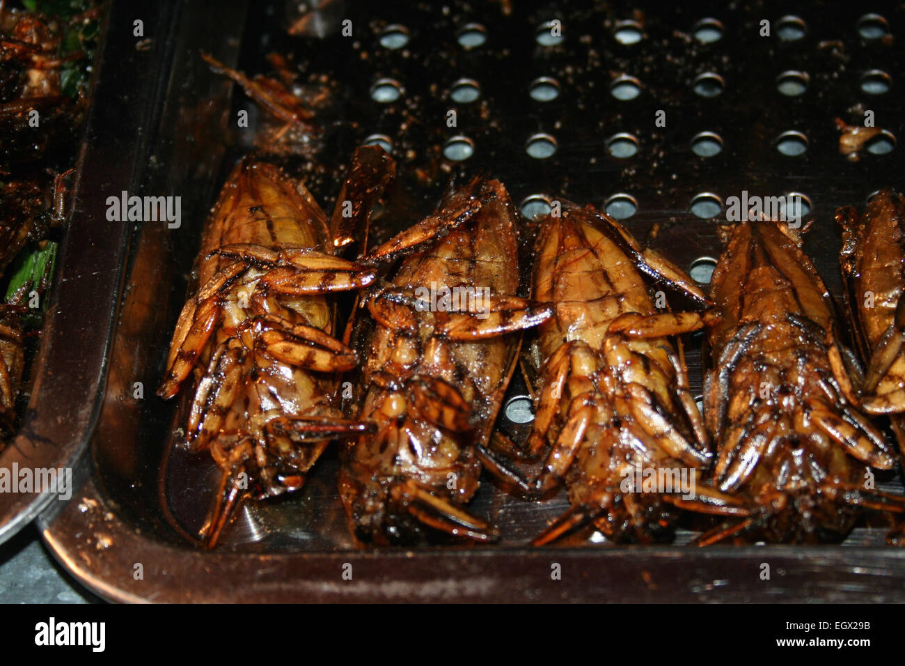 Cuisine exotica hi-res stock photography and images - Alamy