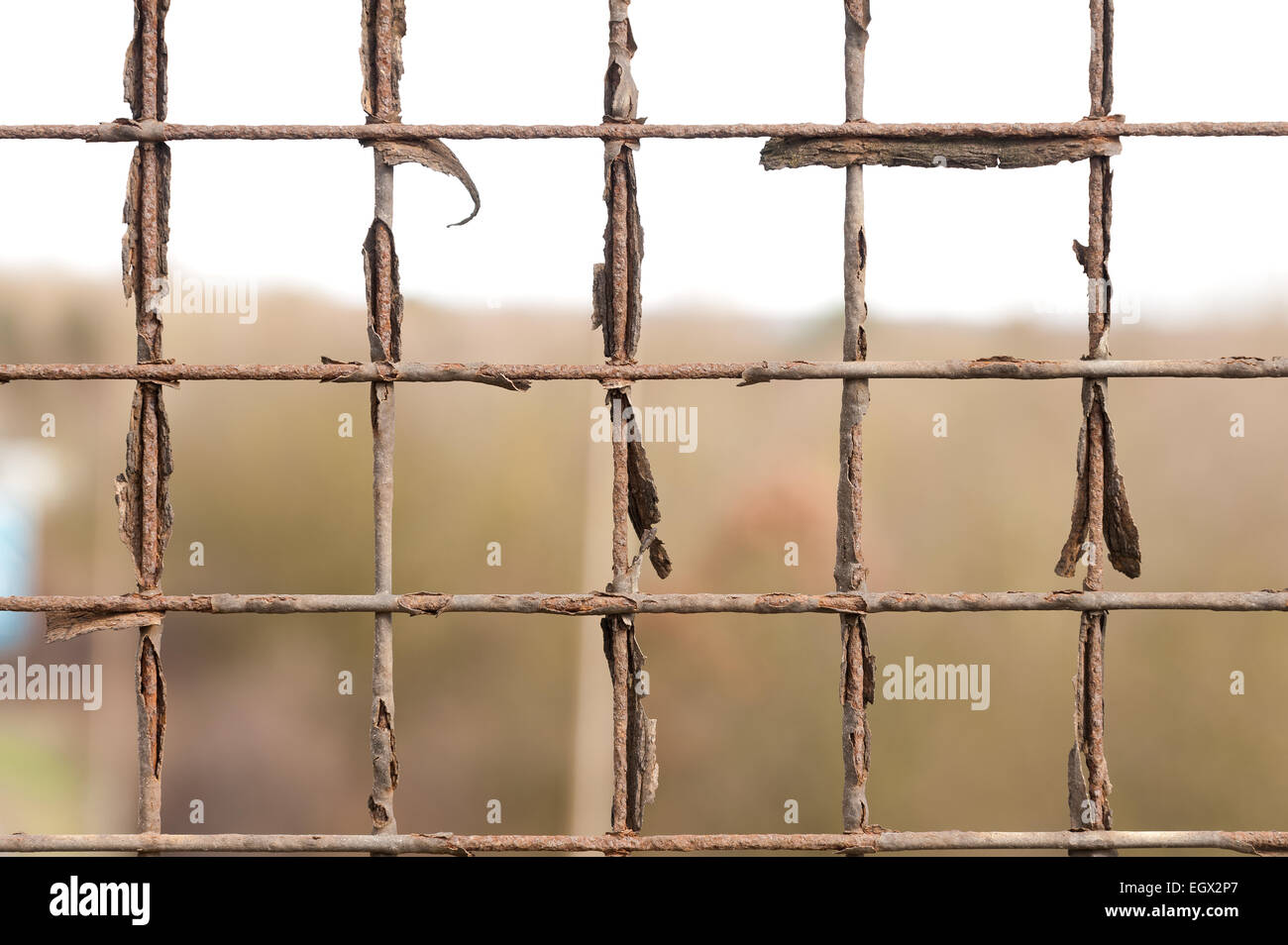 Rusty strong steel wire grid corroding and deteriorating a barrier to ...