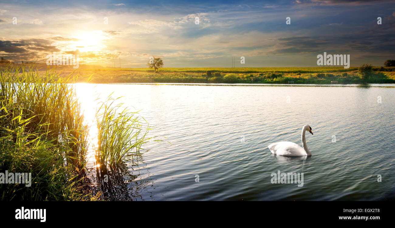 Reflection on swan river hi-res stock photography and images - Alamy