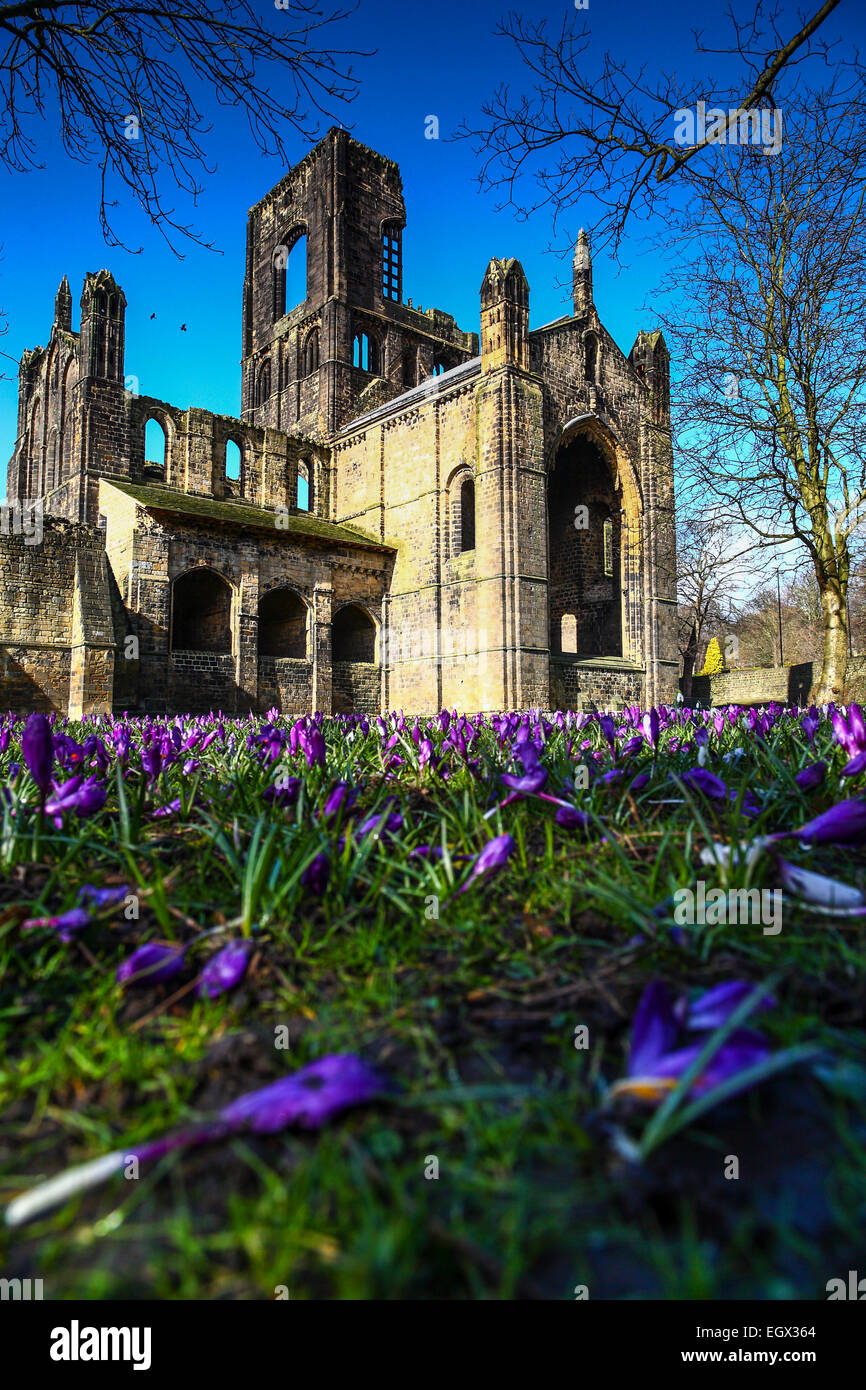 Kirkstall abbey leeds hi-res stock photography and images - Alamy